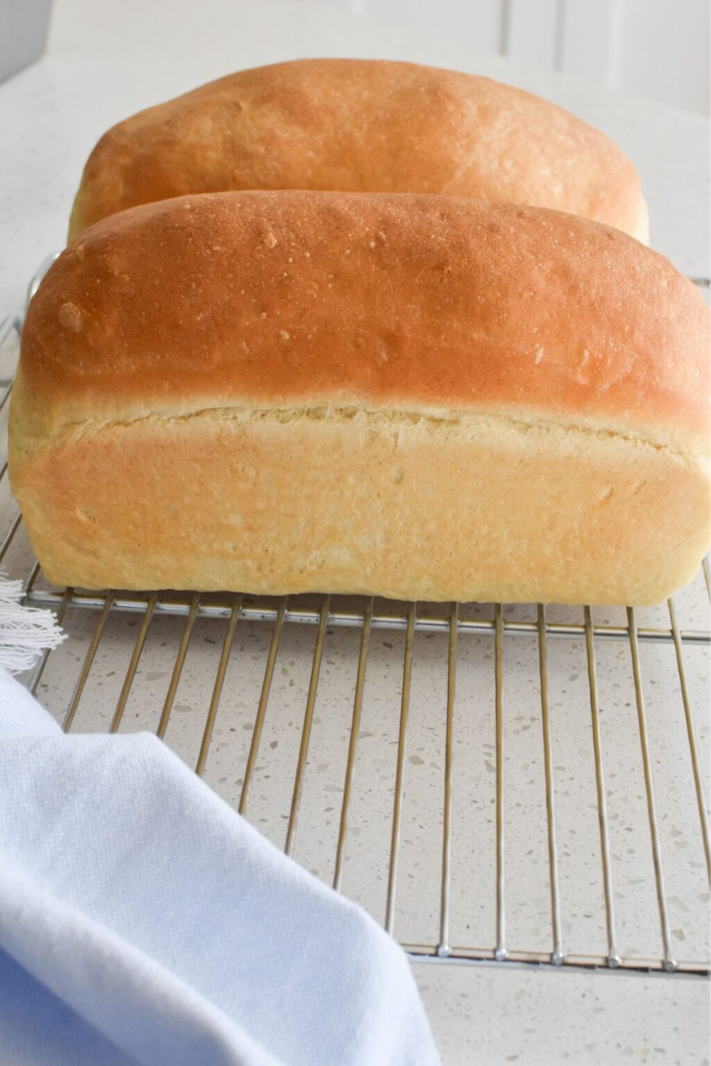 The Best Sandwich Bread and Video - Thyme For The Table