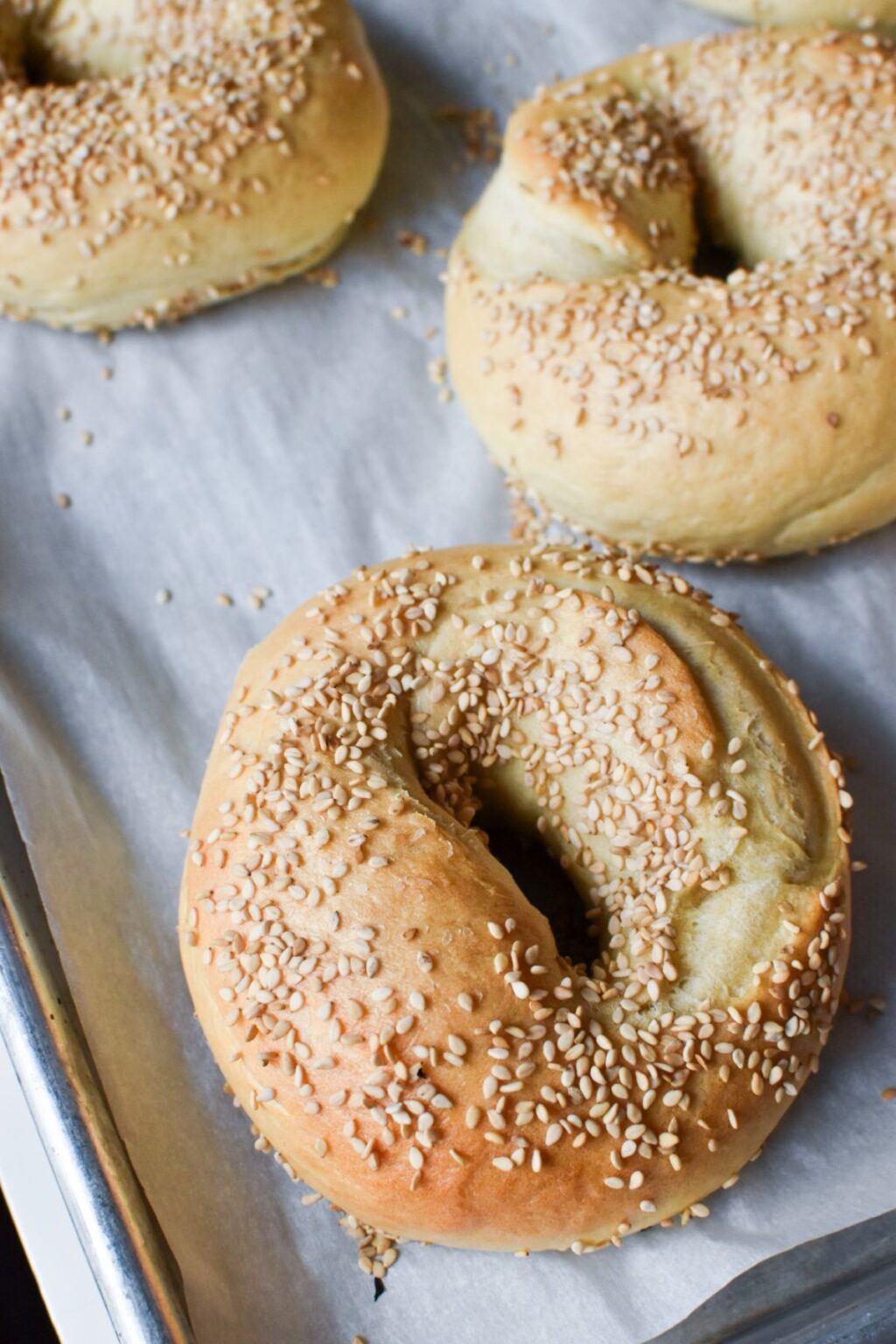 Sesame Seed Bagel Recipe and Video - Thyme For The Table